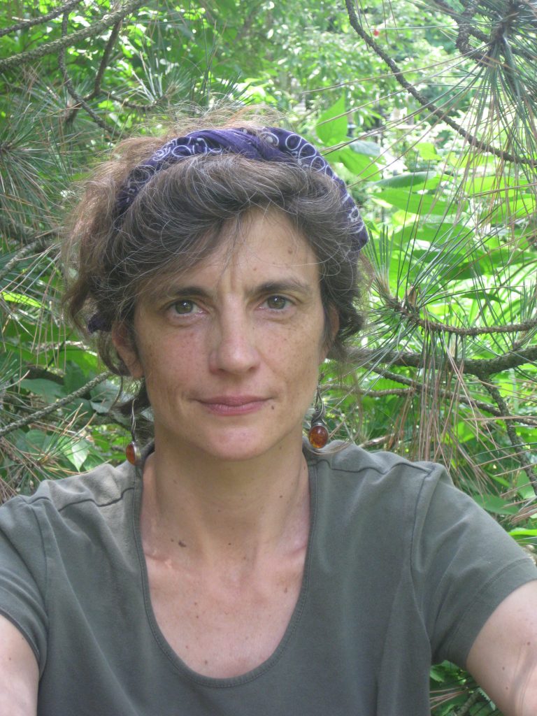 Alessandra Lynch, Natalie Solmer, and Sarah Miller FreehaufBig Car